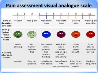Pain pathway | PPTX