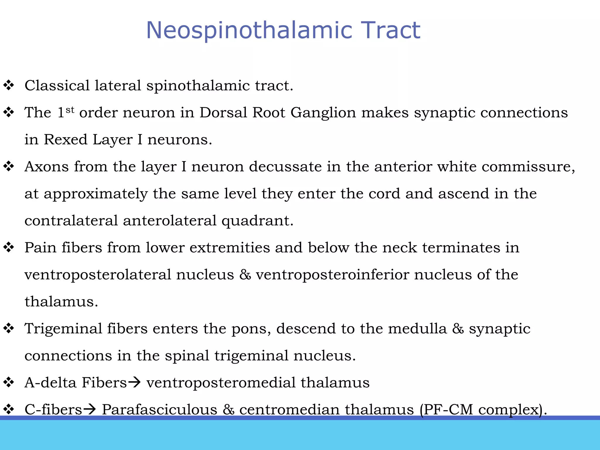 Pain pathway | PPTX