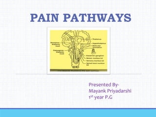 Pain pathway | PPTX