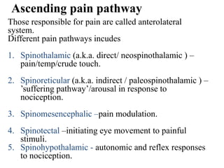 Pain pathway | PPTX