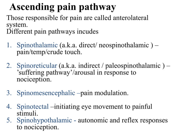 Pain pathway | PPTX