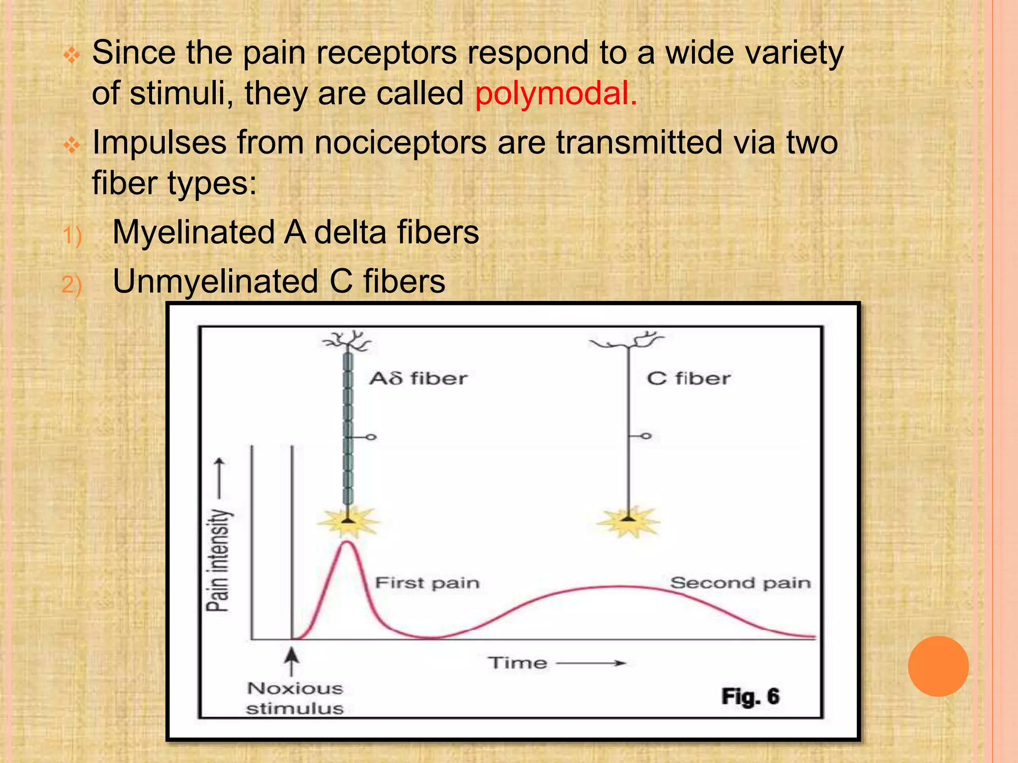 Pain pathway | PPTX
