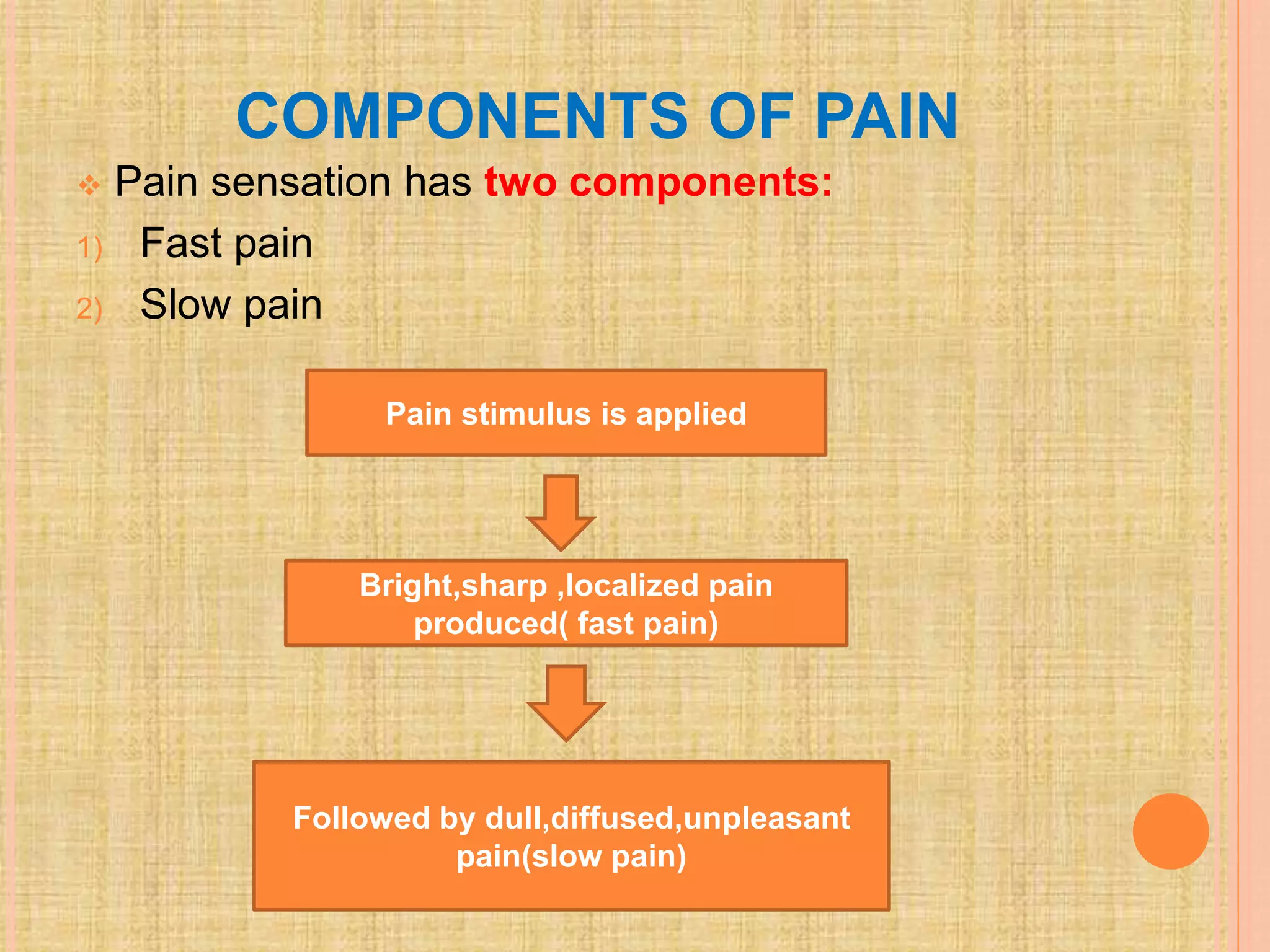Pain pathway | PPTX