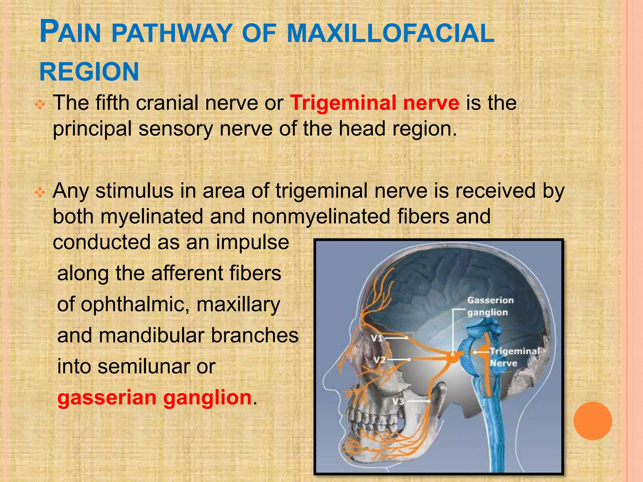 Pain pathway | PPTX