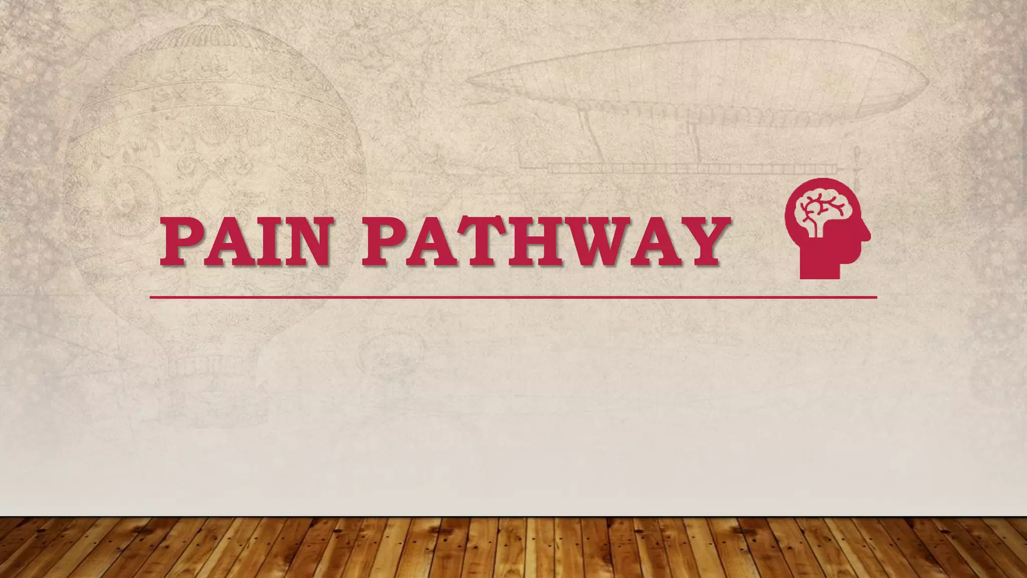 Pain pathway | PPTX