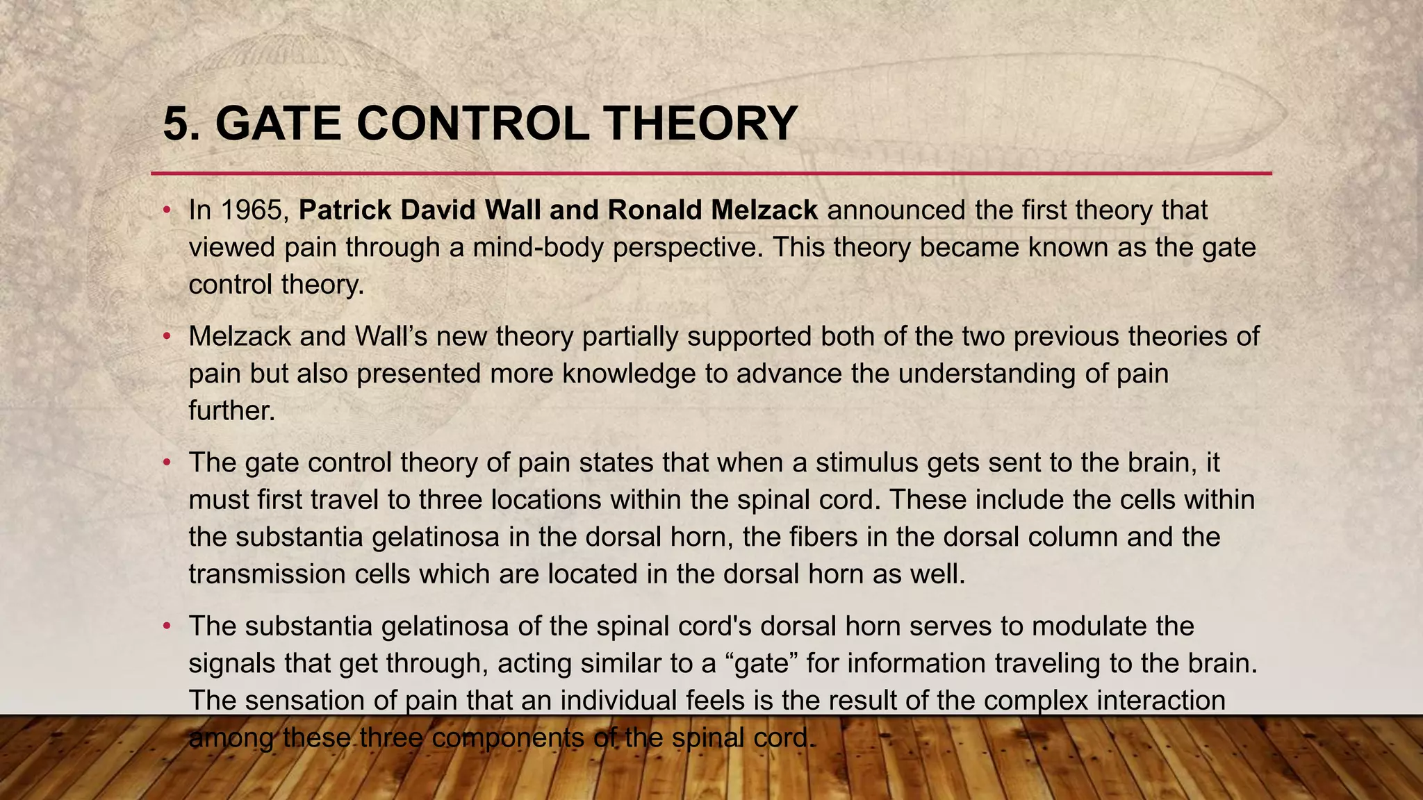 Pain pathway | PPTX | Physical Therapy | Wellness