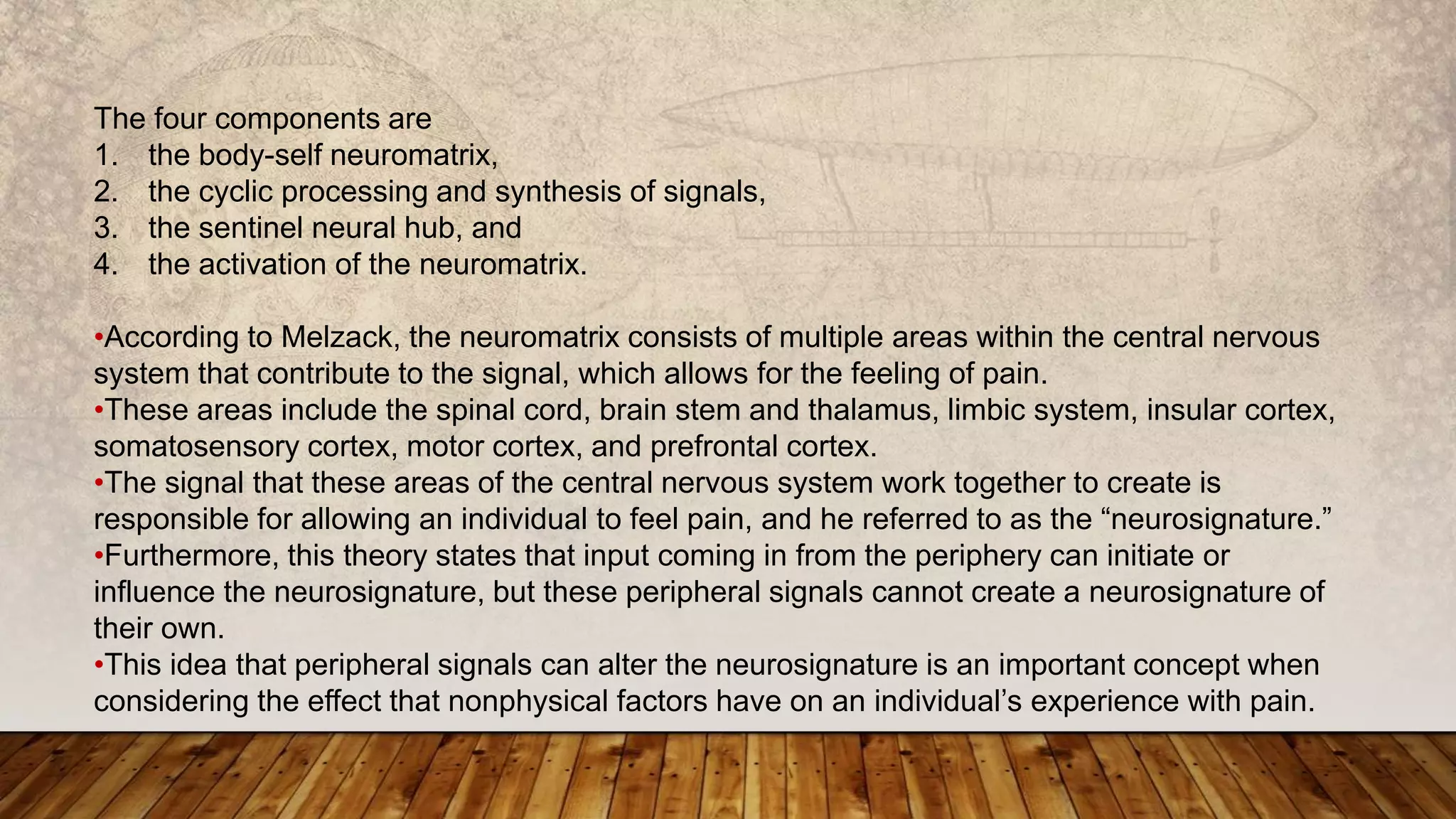 Pain pathway | PPTX