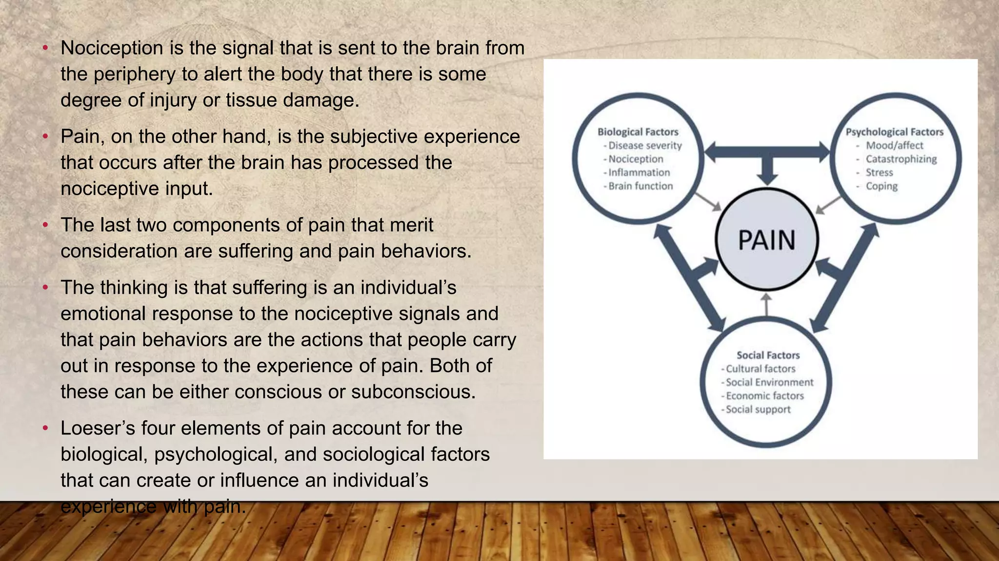 Pain pathway | PPTX | Physical Therapy | Wellness
