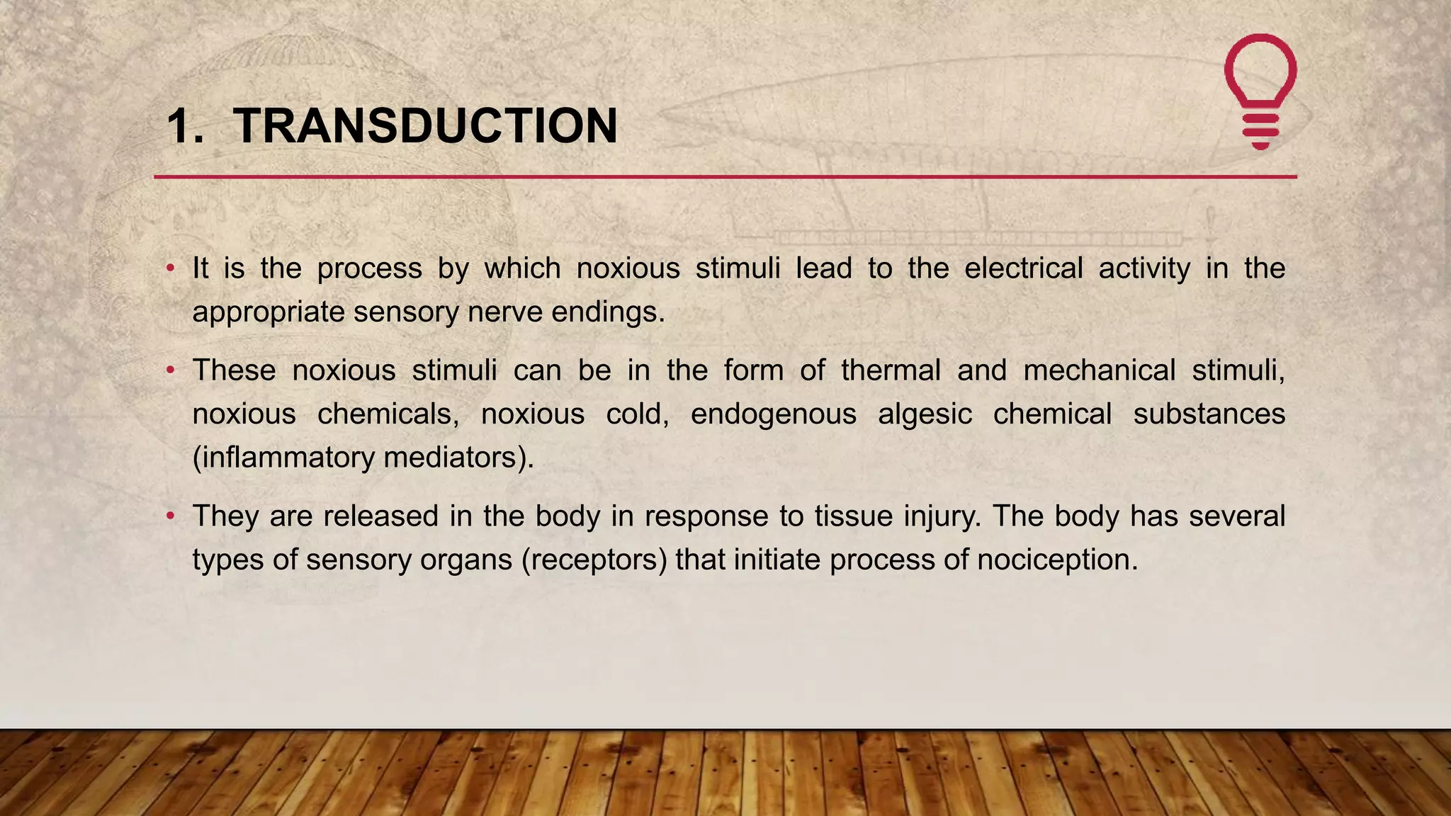 Pain pathway | PPTX | Physical Therapy | Wellness