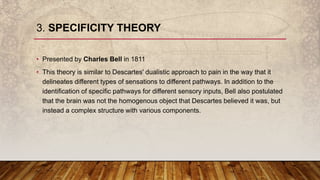 Pain pathway | PPTX