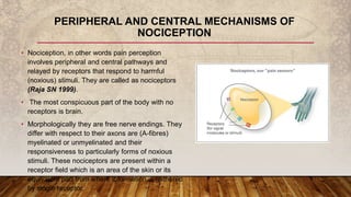 Pain pathway | PPTX