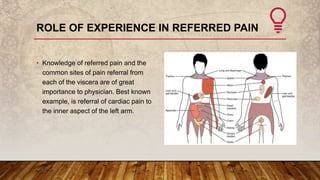 Pain pathway | PPTX