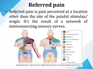 Pain pathway | PPTX