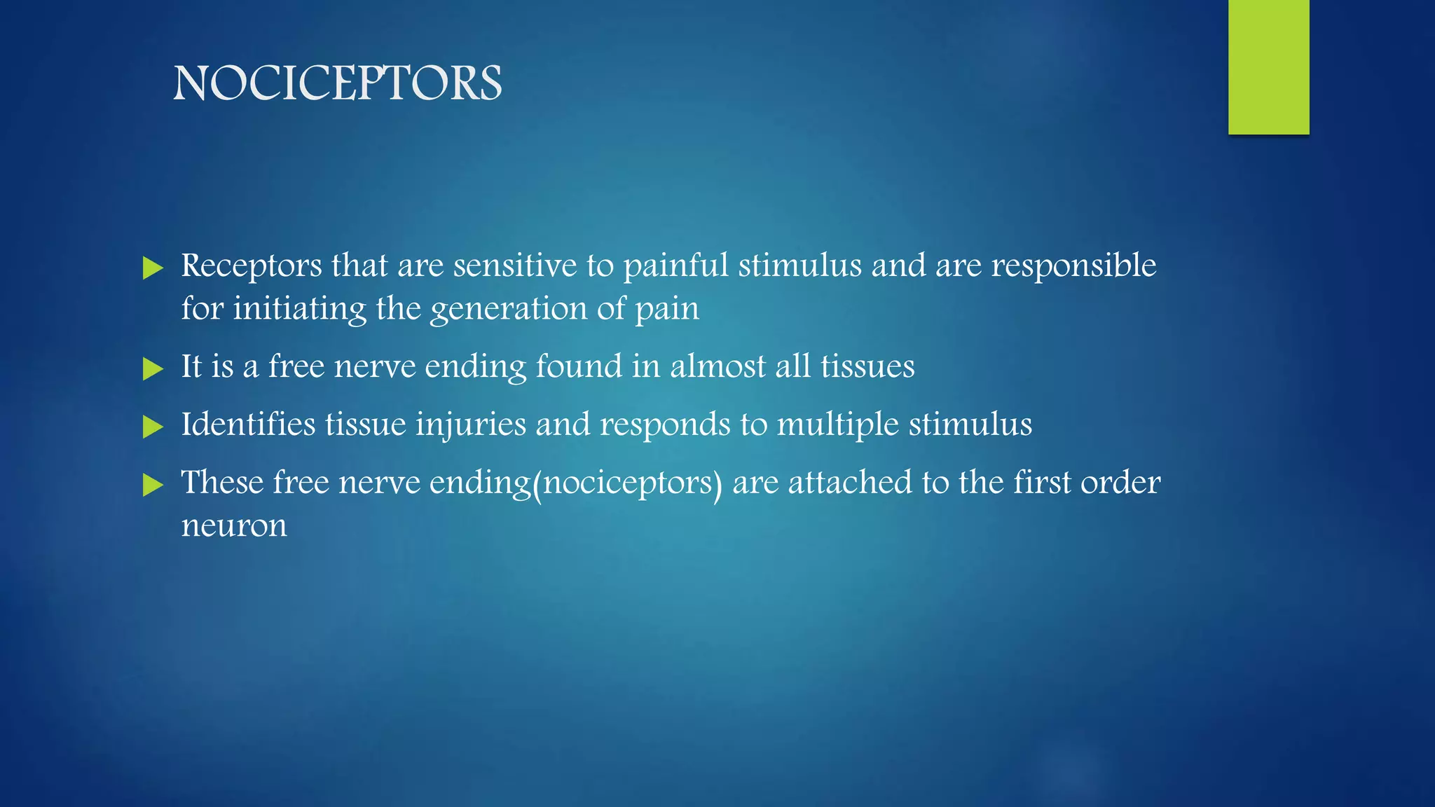 pain pathway.pptx