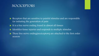pain pathway.pptx