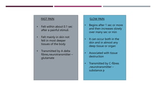 Pain pathway.pptx