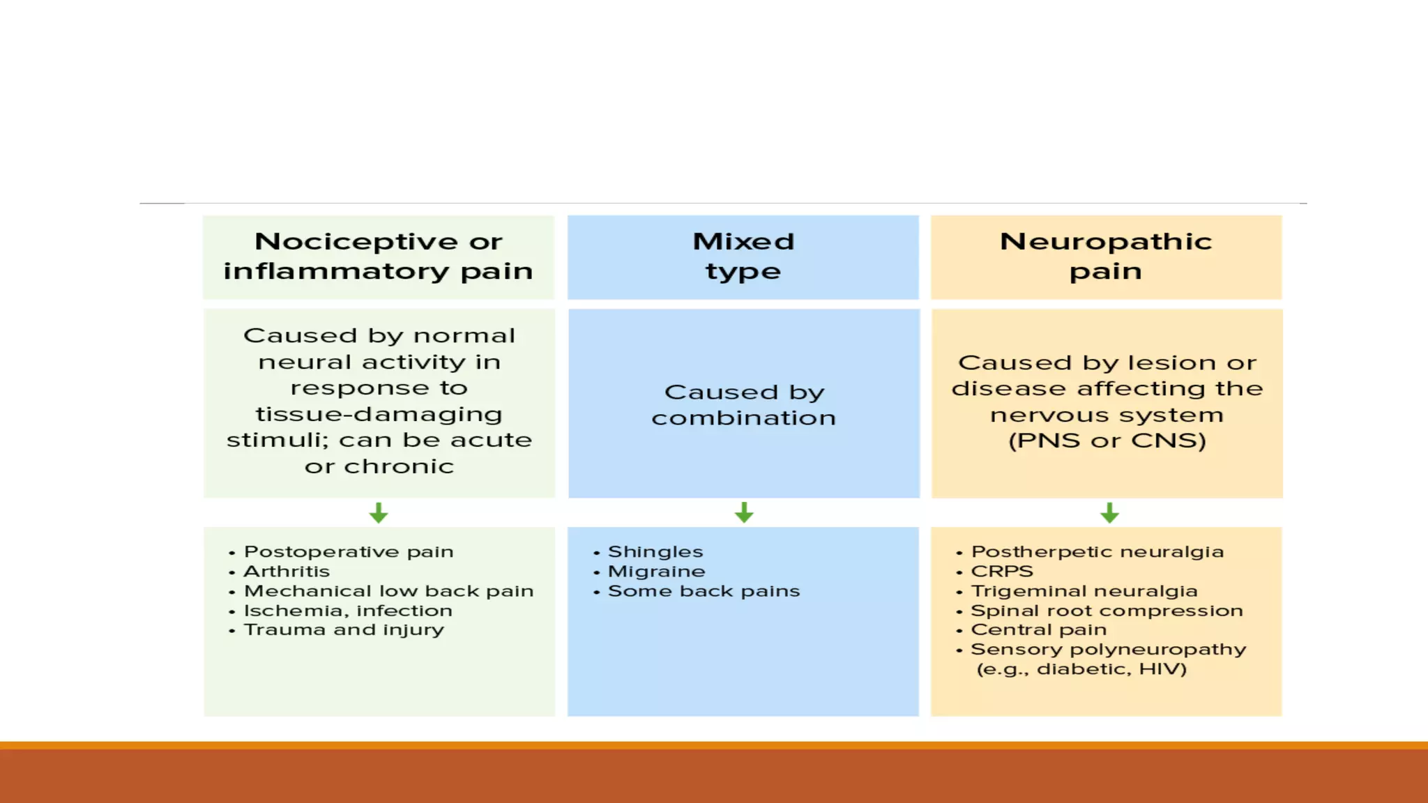 PAIN PATHWAY.pptx