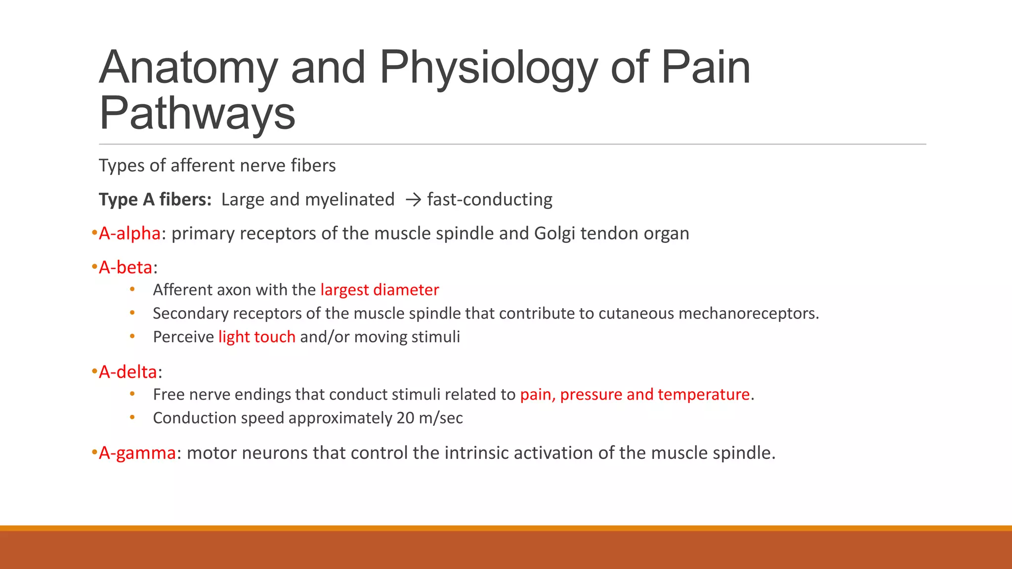 PAIN PATHWAY.pptx