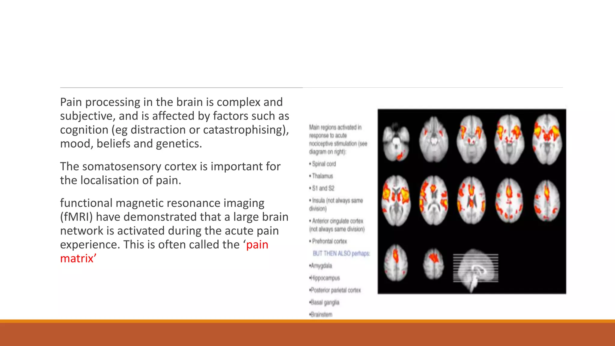 PAIN PATHWAY.pptx