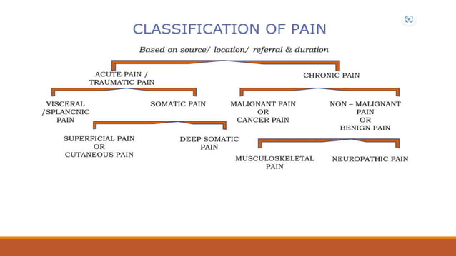 PAIN PATHWAY.pptx