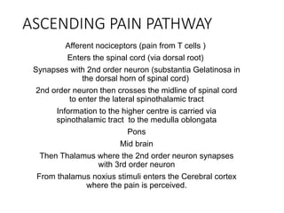PAIN GAYE THEORY - Pain pathways, its process | PPTX