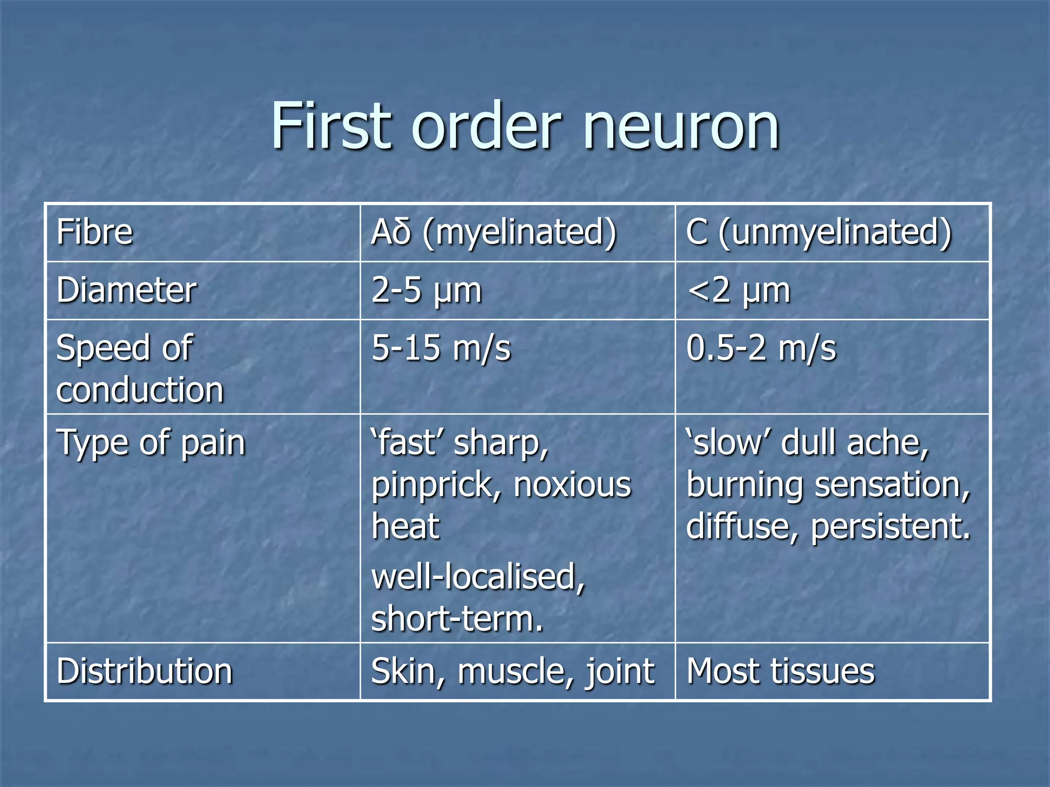 Neurons, Pain and Pain pathways (Physiology) | PPT