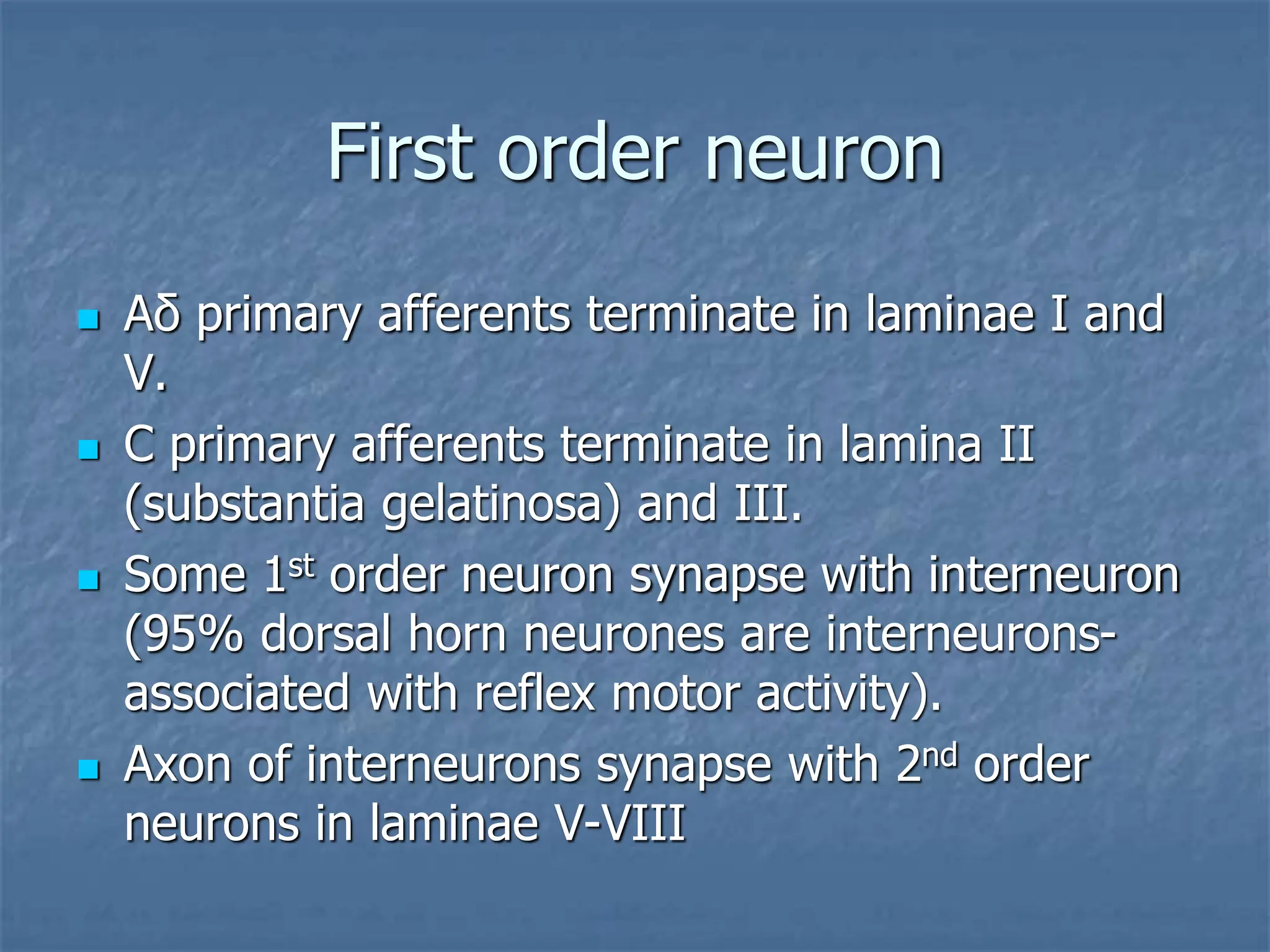 Neurons, Pain and Pain pathways (Physiology) | PPT