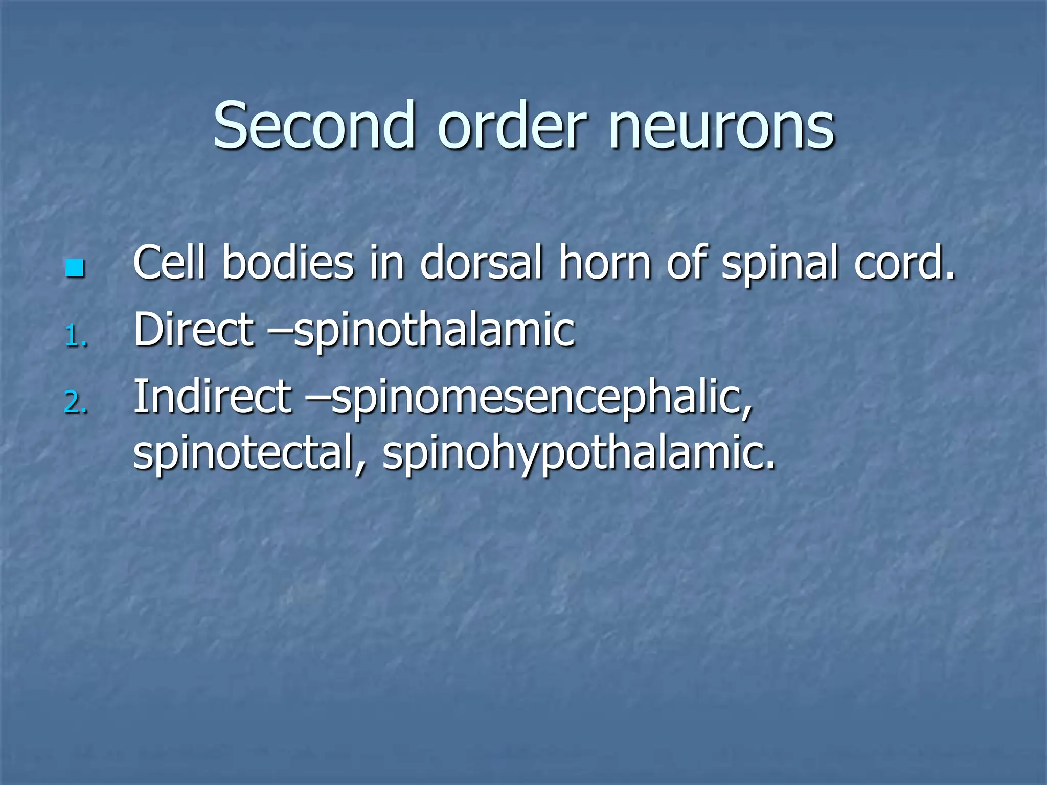 Neurons, Pain and Pain pathways (Physiology) | PPT