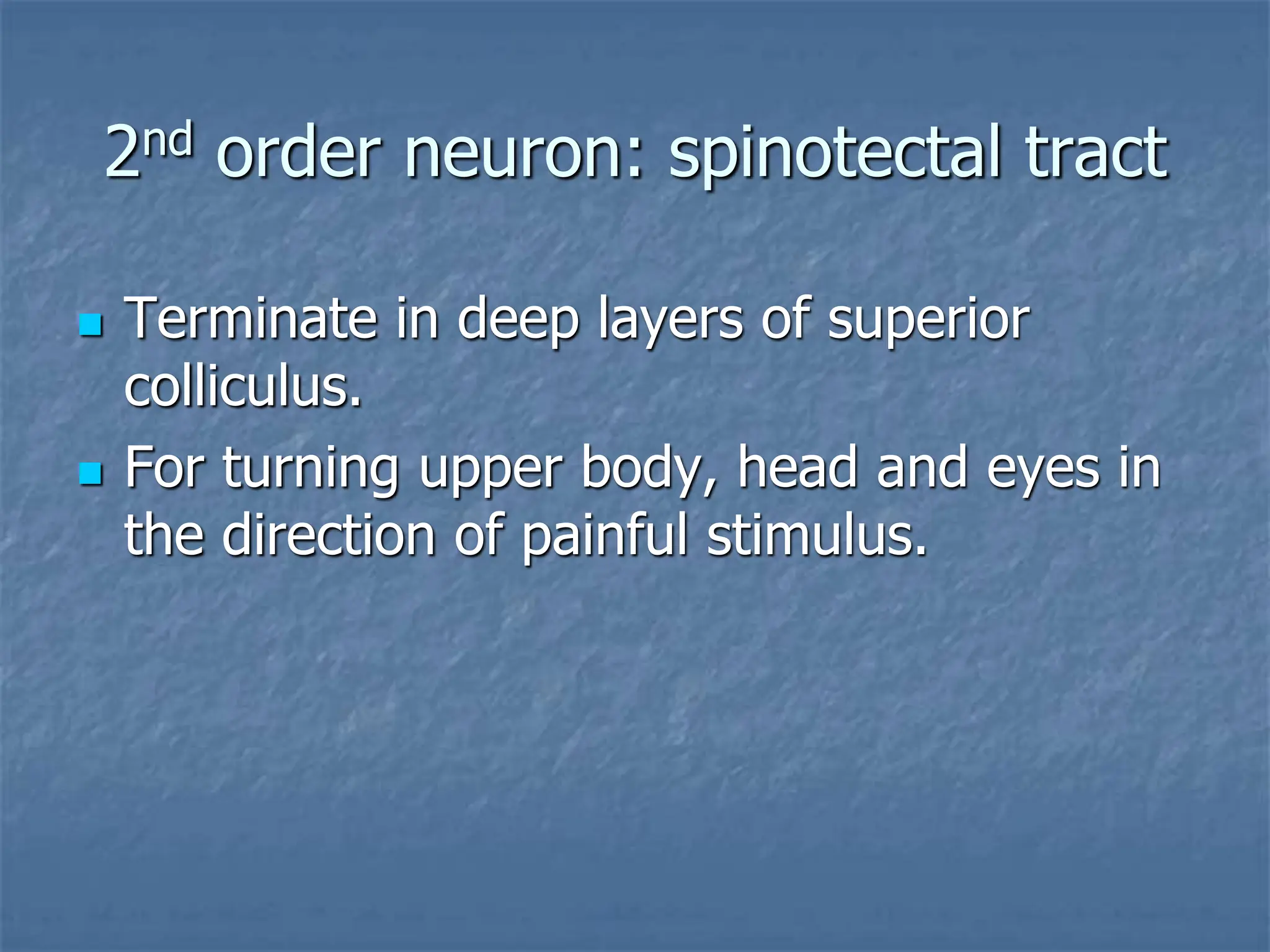 Neurons, Pain and Pain pathways (Physiology) | PPT
