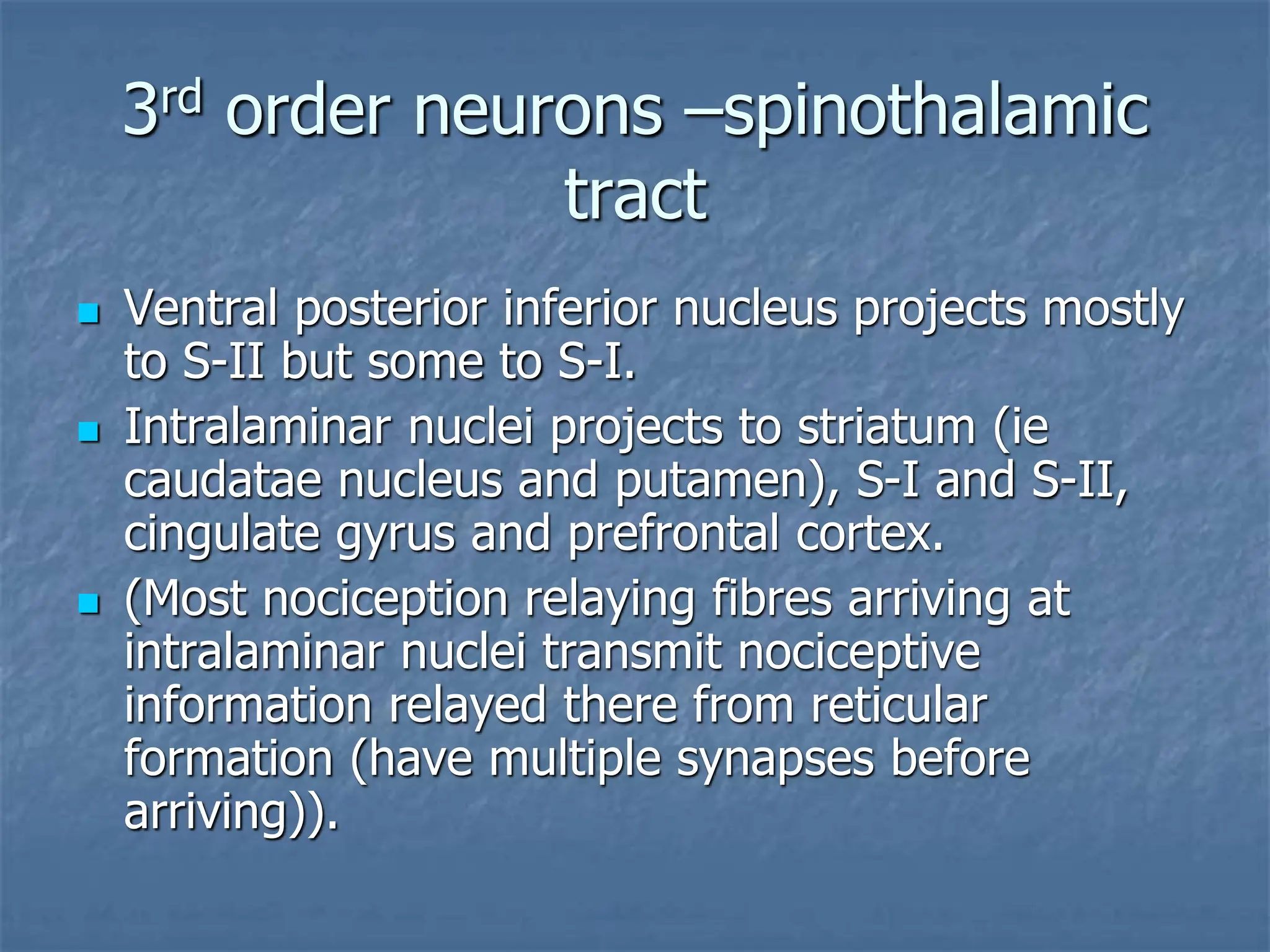 Neurons, Pain and Pain pathways (Physiology) | PPT