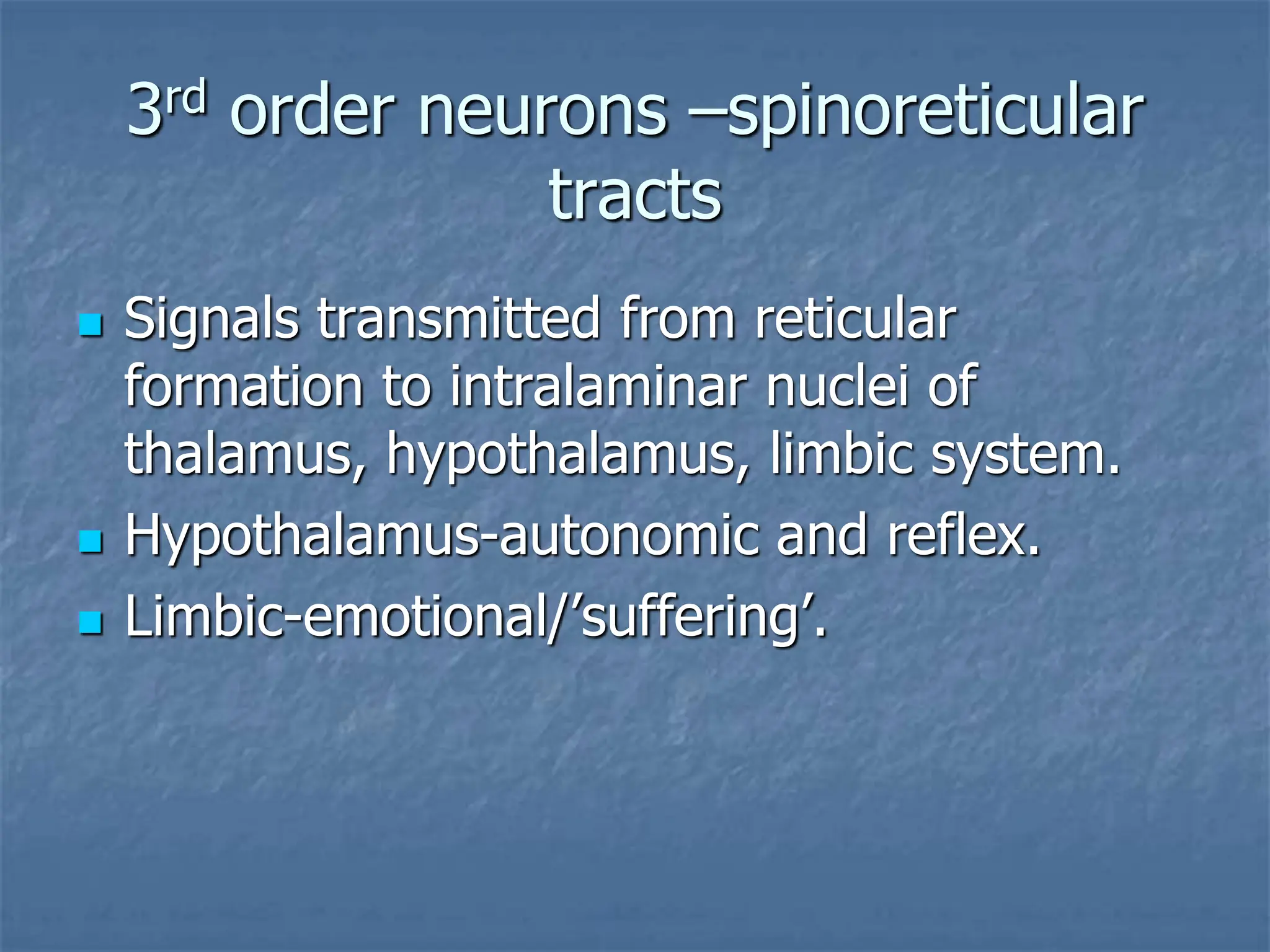 Neurons, Pain and Pain pathways (Physiology) | PPT