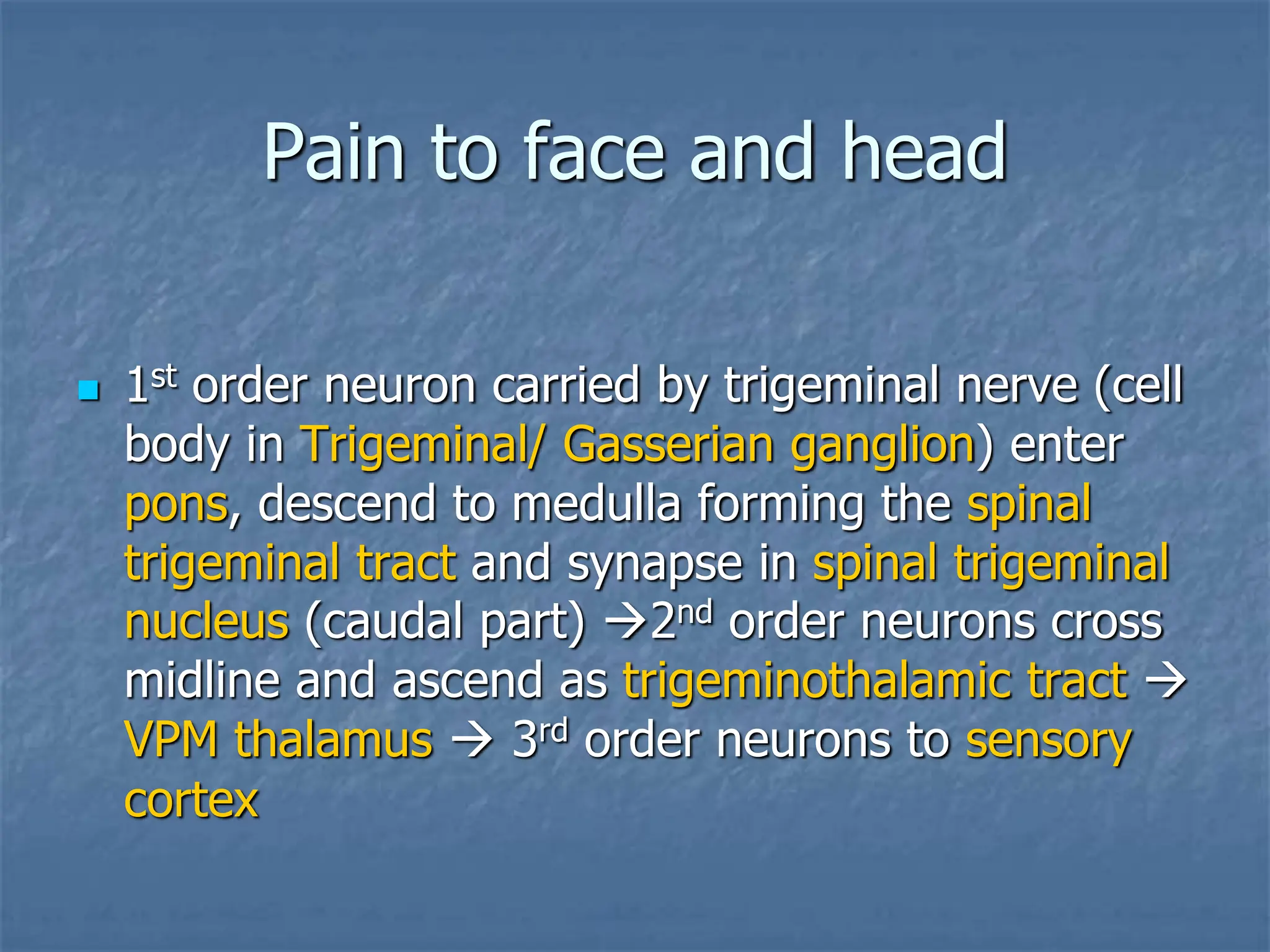 Neurons, Pain and Pain pathways (Physiology) | PPT