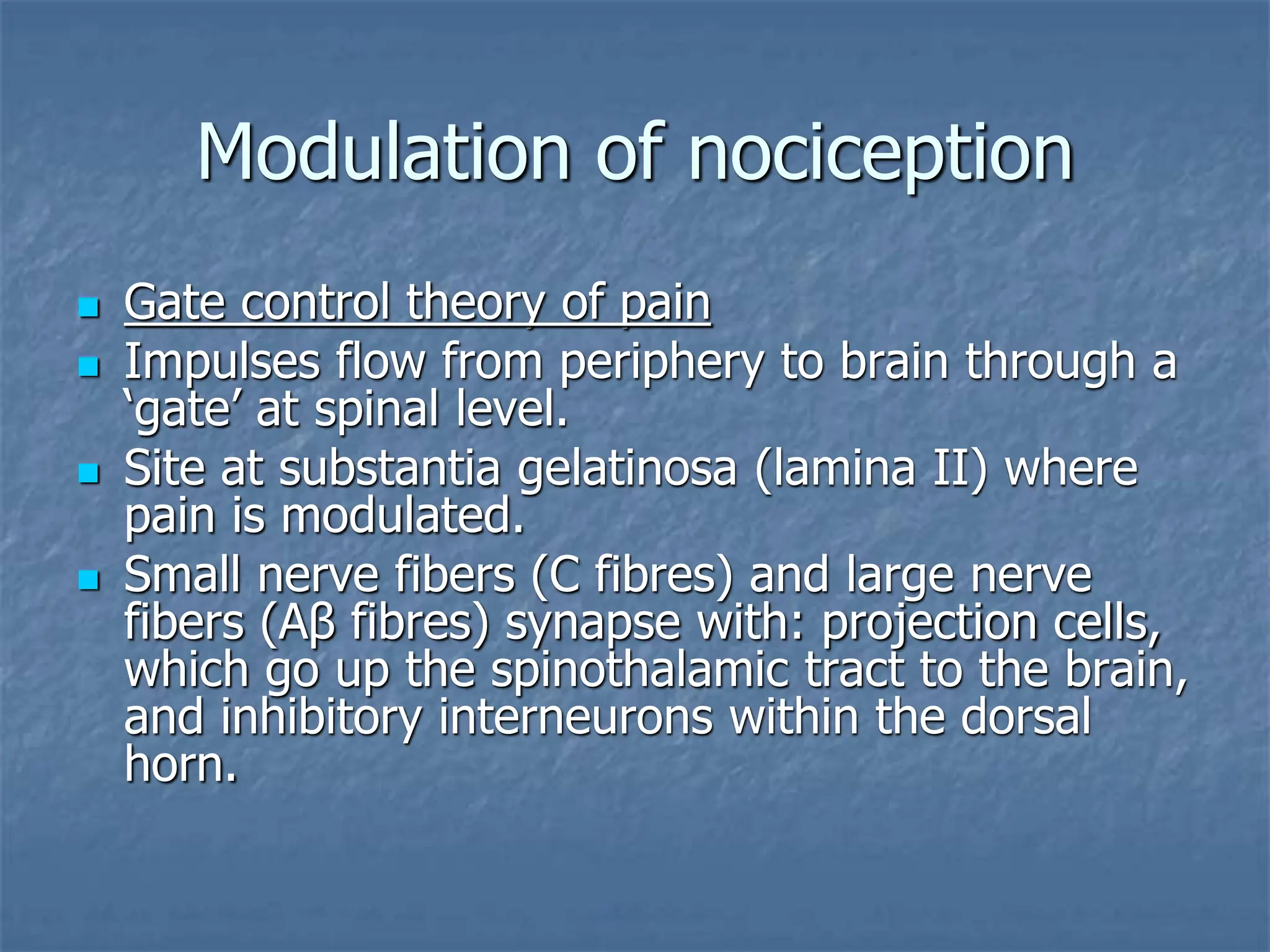 Neurons, Pain and Pain pathways (Physiology) | PPT