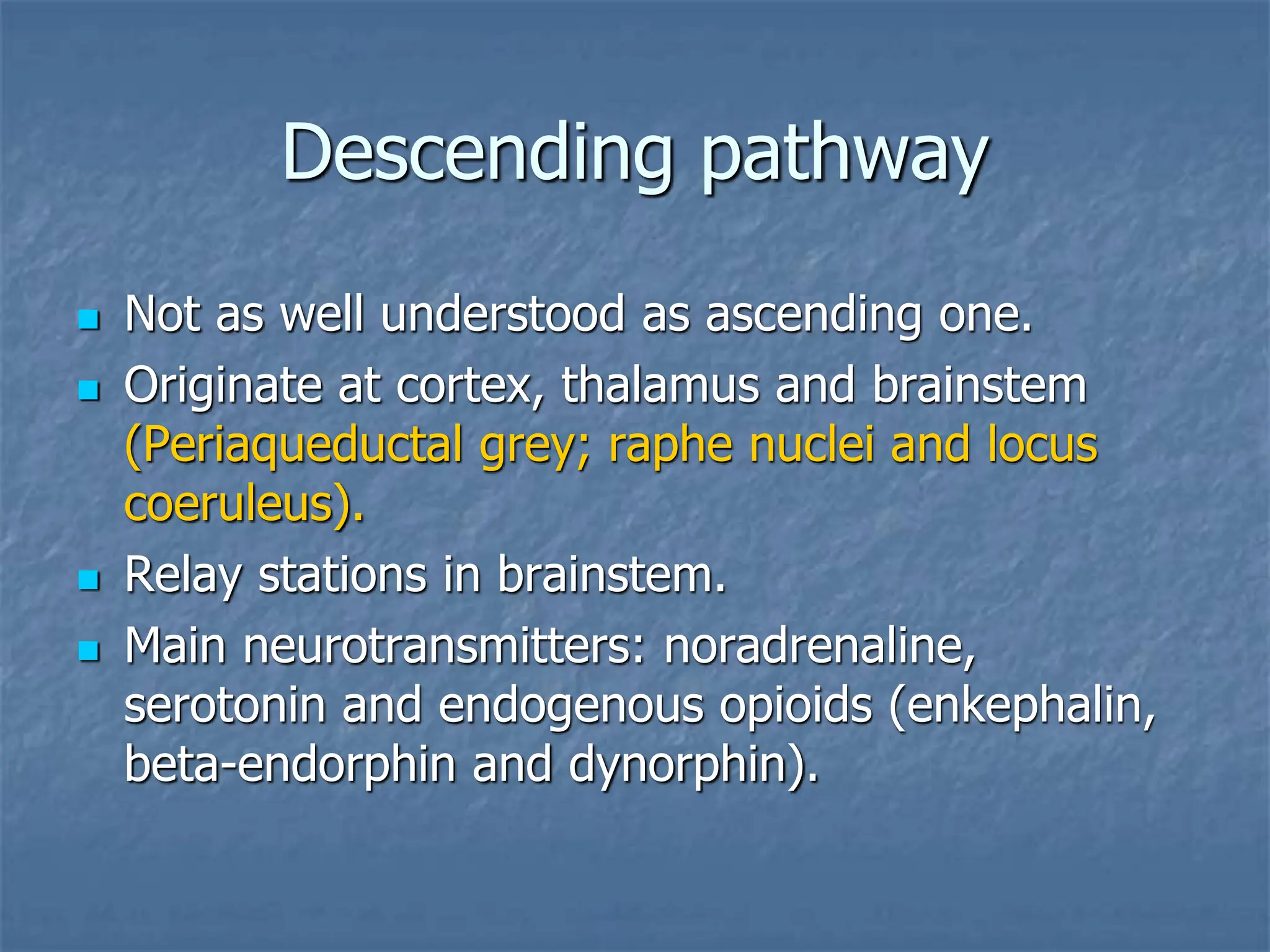 Neurons, Pain and Pain pathways (Physiology) | PPT