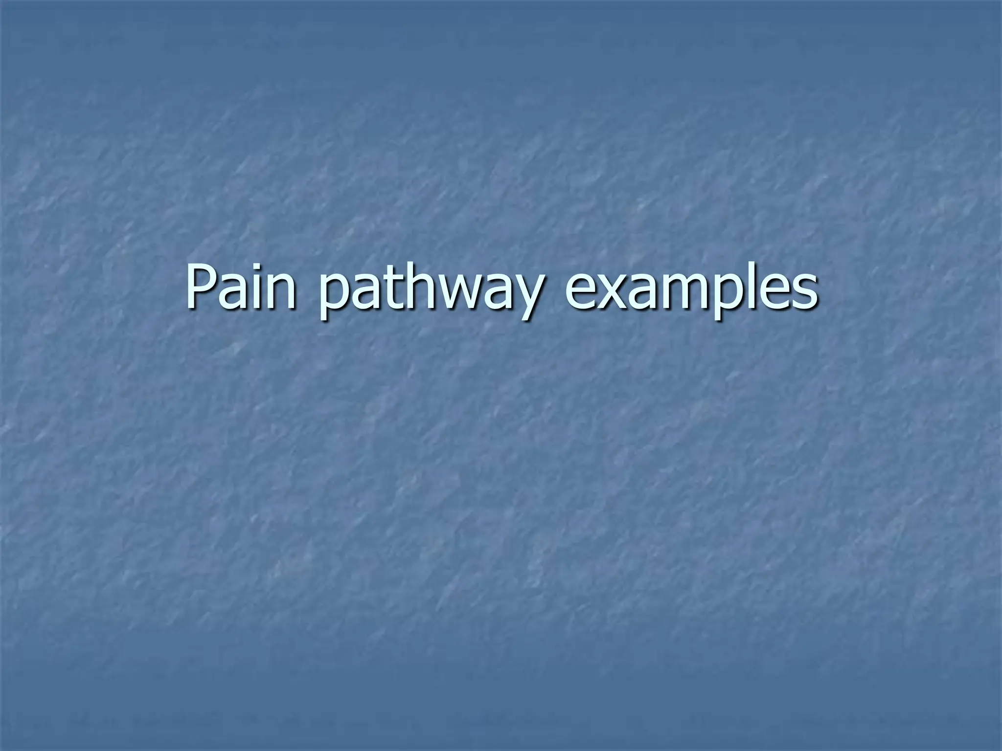 Neurons, Pain and Pain pathways (Physiology) | PPT