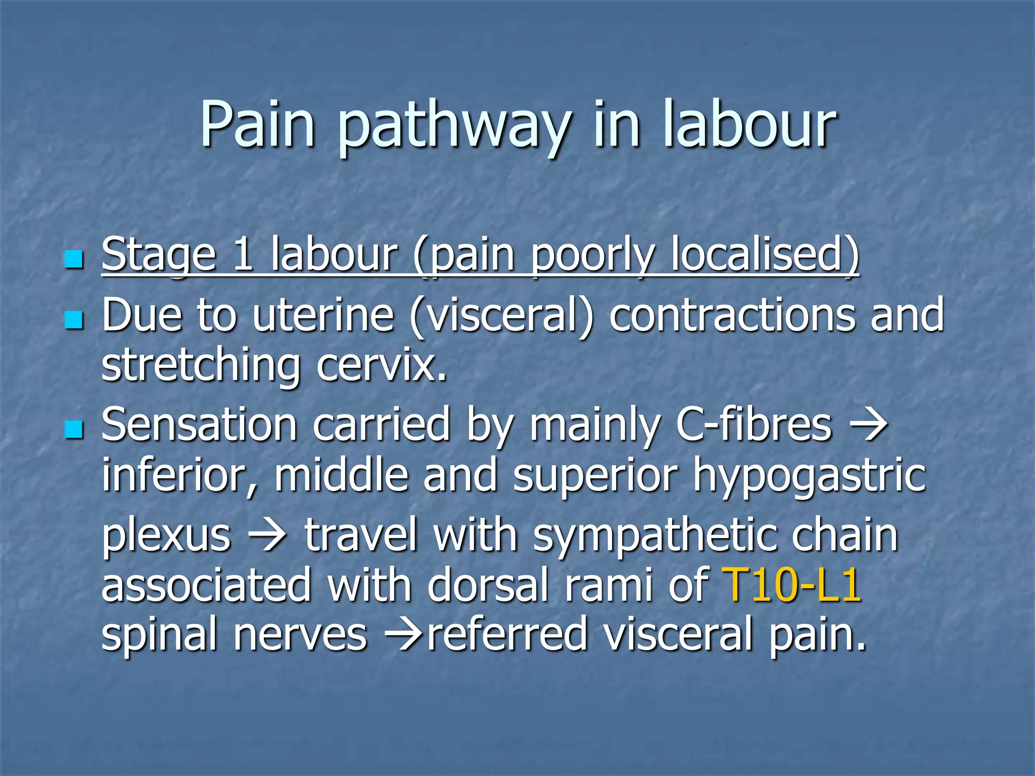 Neurons, Pain and Pain pathways (Physiology) | PPT