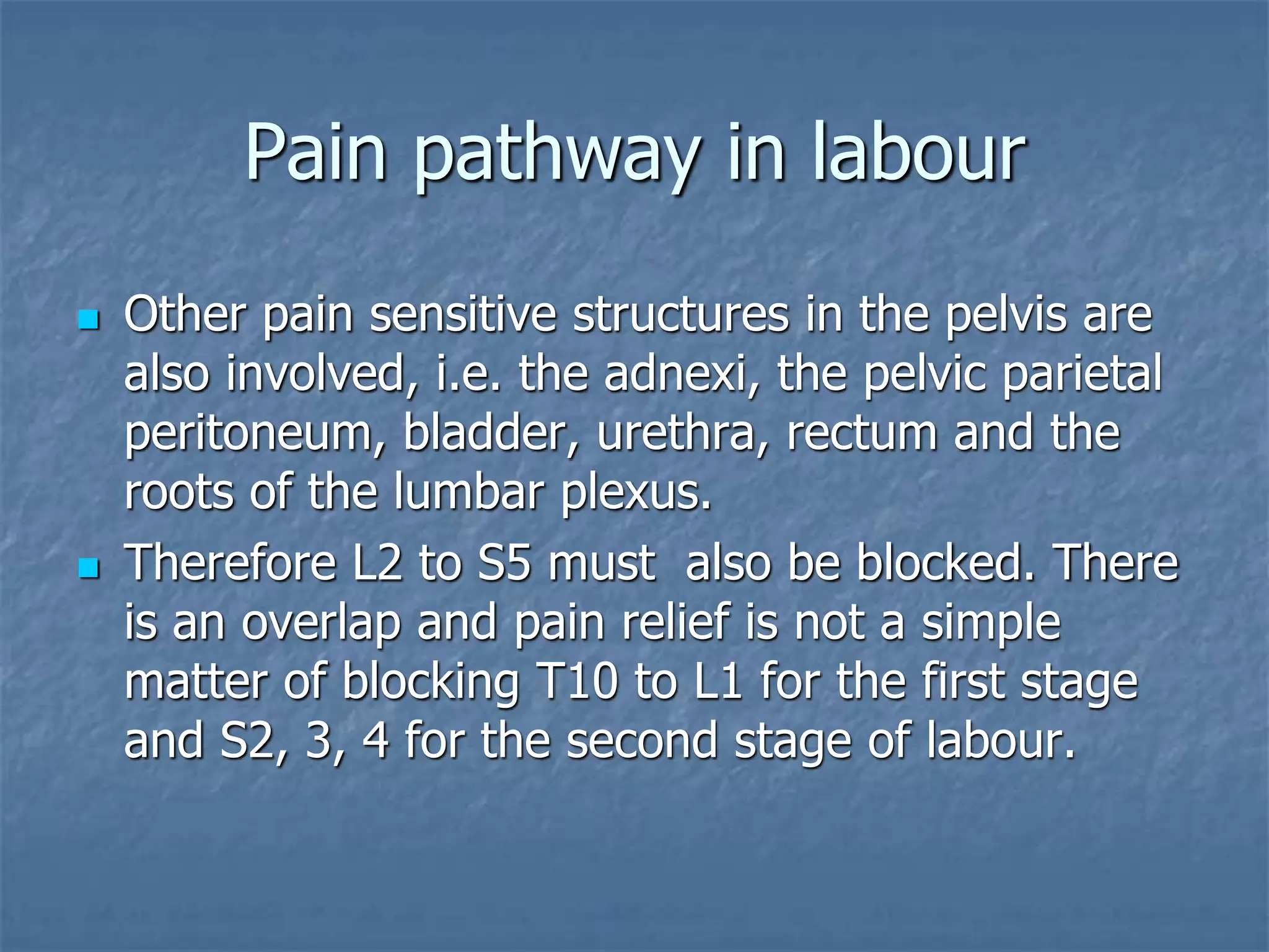 Neurons, Pain and Pain pathways (Physiology) | PPT