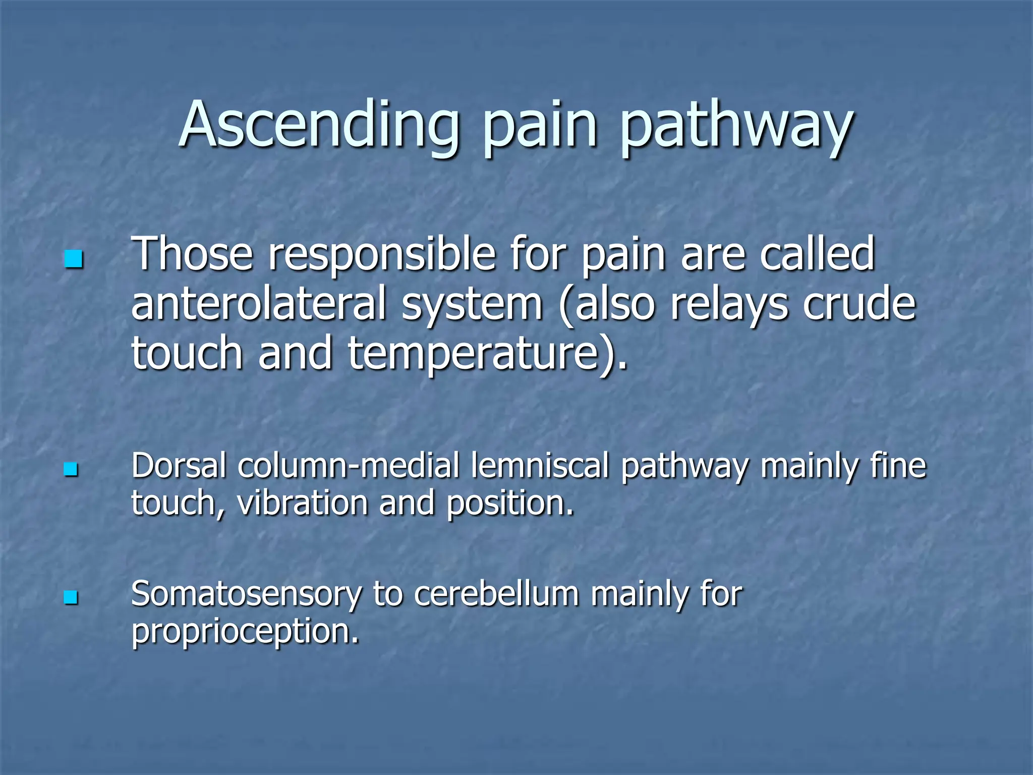 Neurons, Pain and Pain pathways (Physiology) | PPT