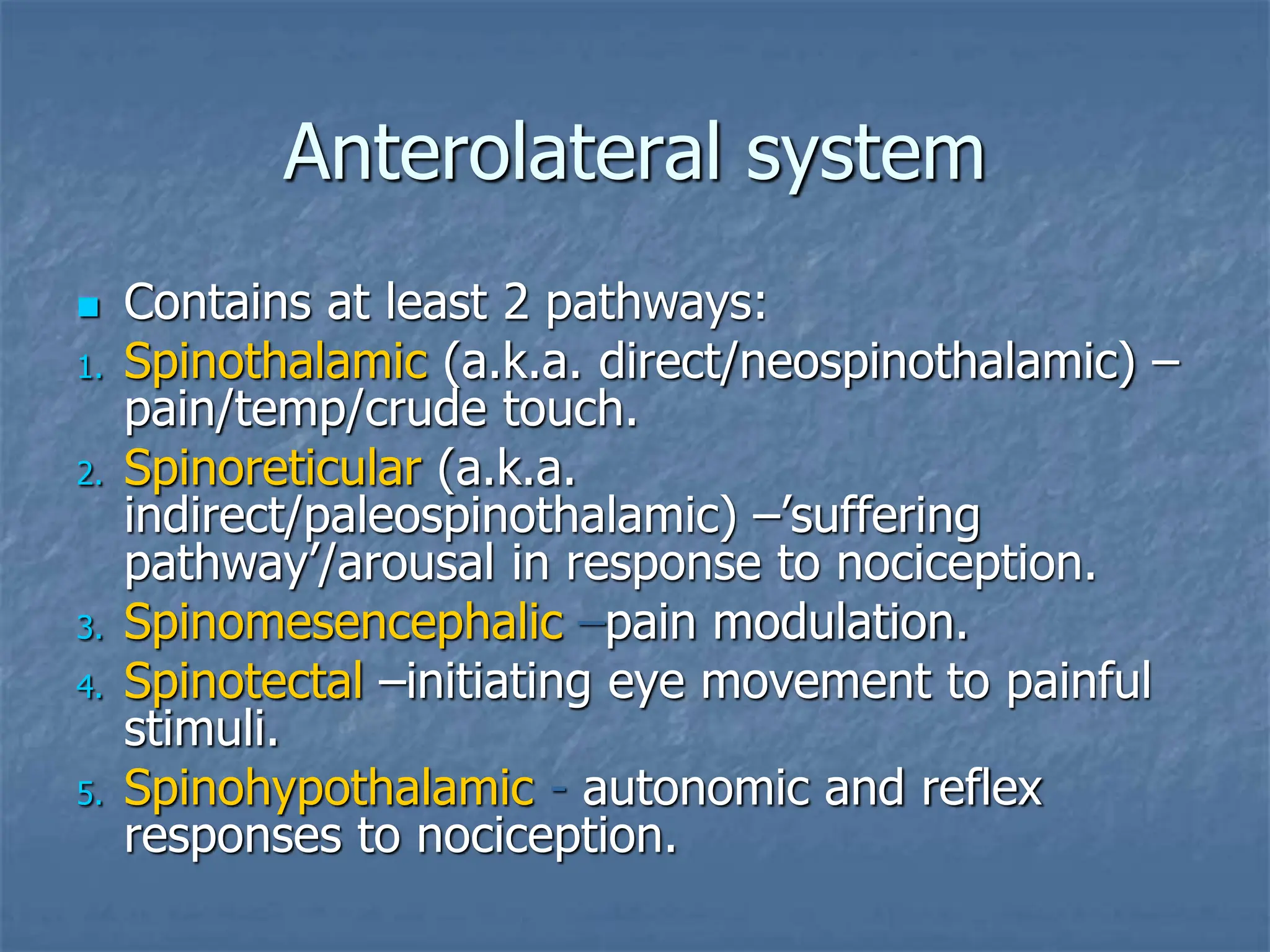 Neurons, Pain and Pain pathways (Physiology) | PPT