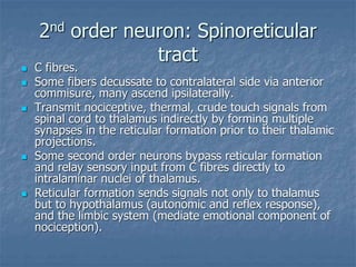 Neurons, Pain and Pain pathways (Physiology) | PPT