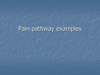 Neurons, Pain and Pain pathways (Physiology) | PPT