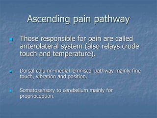 Neurons, Pain and Pain pathways (Physiology) | PPT