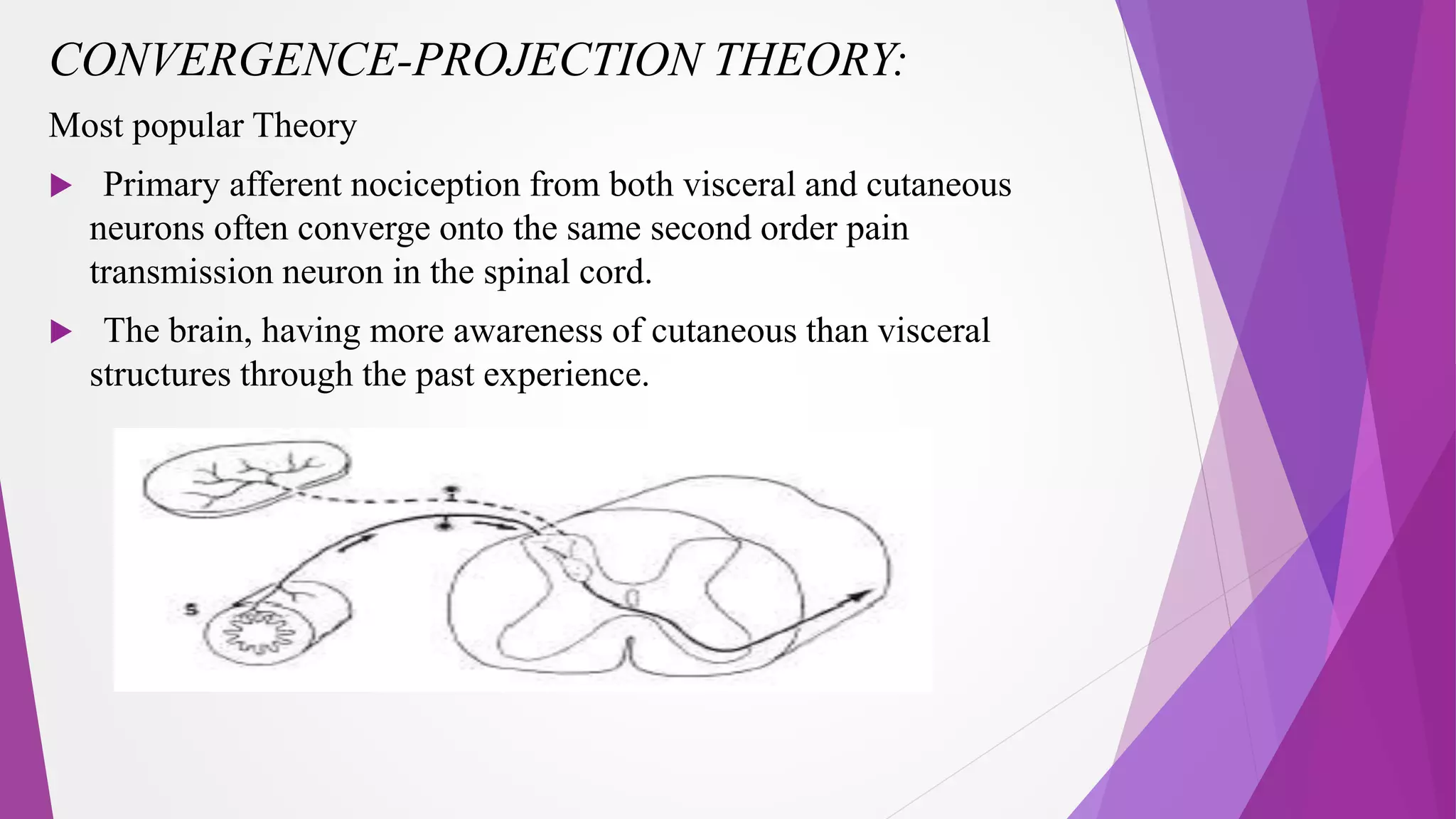 Painpathway-2 | PPT