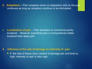 Pain pathway all | PPT