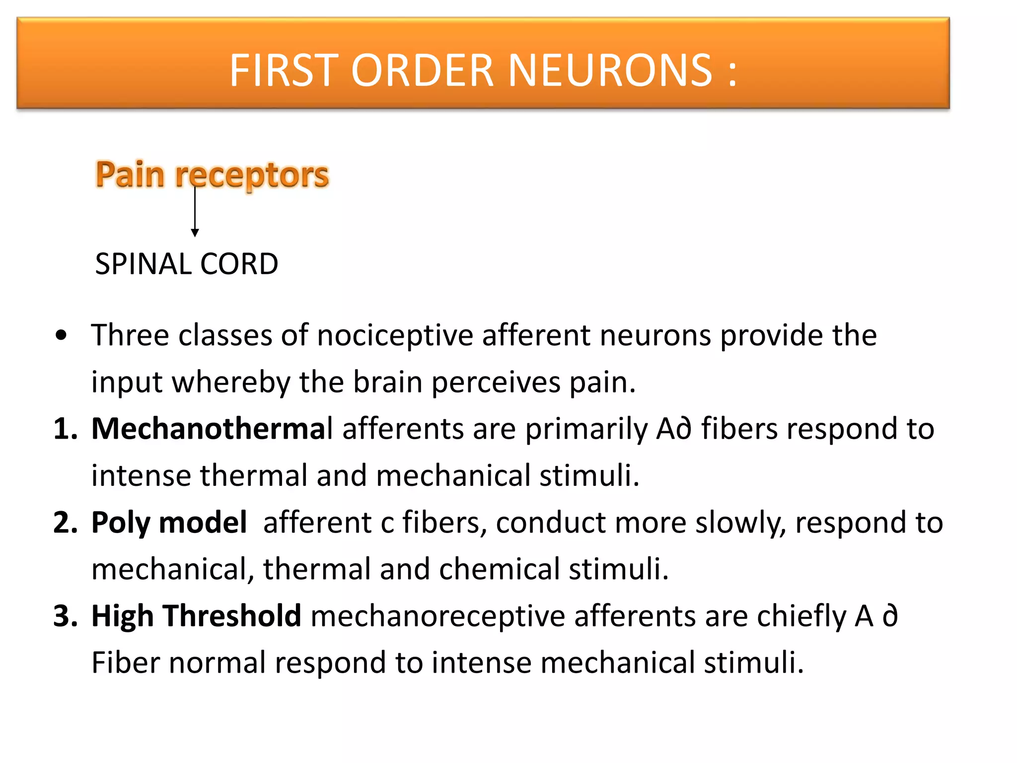 Pain pathway theories of pain | PDF