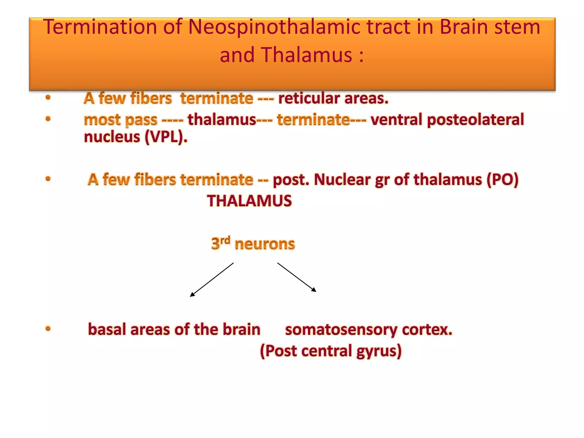 Pain pathway theories of pain | PDF