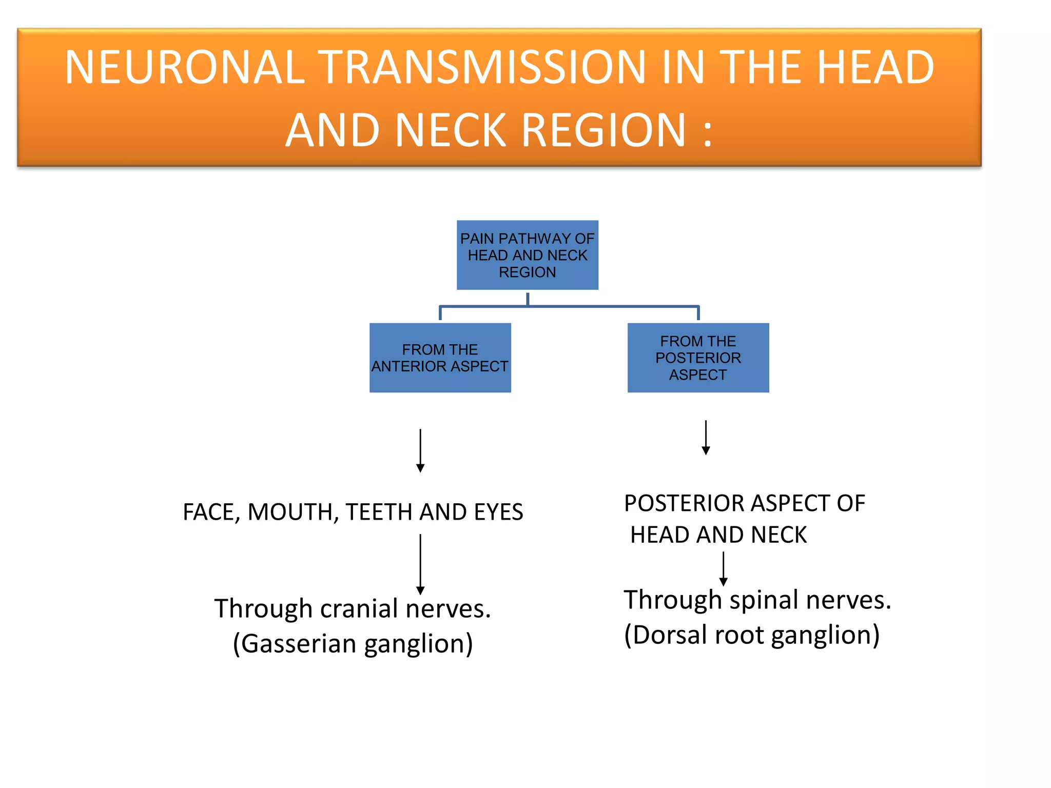 Pain pathway theories of pain | PDF