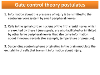 Gate Control Theory Example