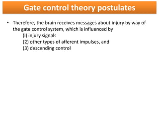 Gate Control Theory Example