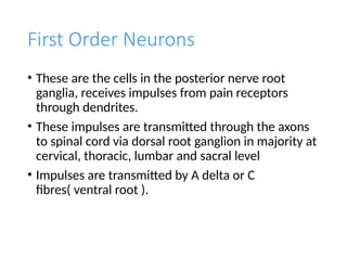 pain pathway ppt and its management and pathways | PPTX